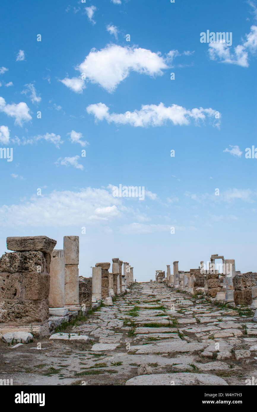 Lydia bible hi-res stock photography and images - Alamy