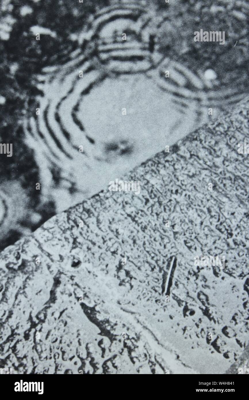Fine black and white art photography of a puddle with circular wavelet ...