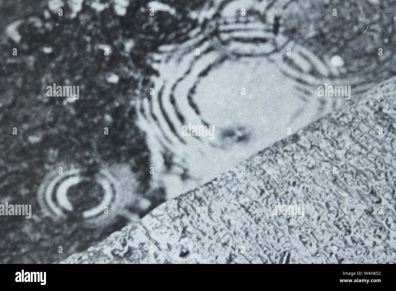 Fine black and white art photography of a puddle with circular wavelet ...