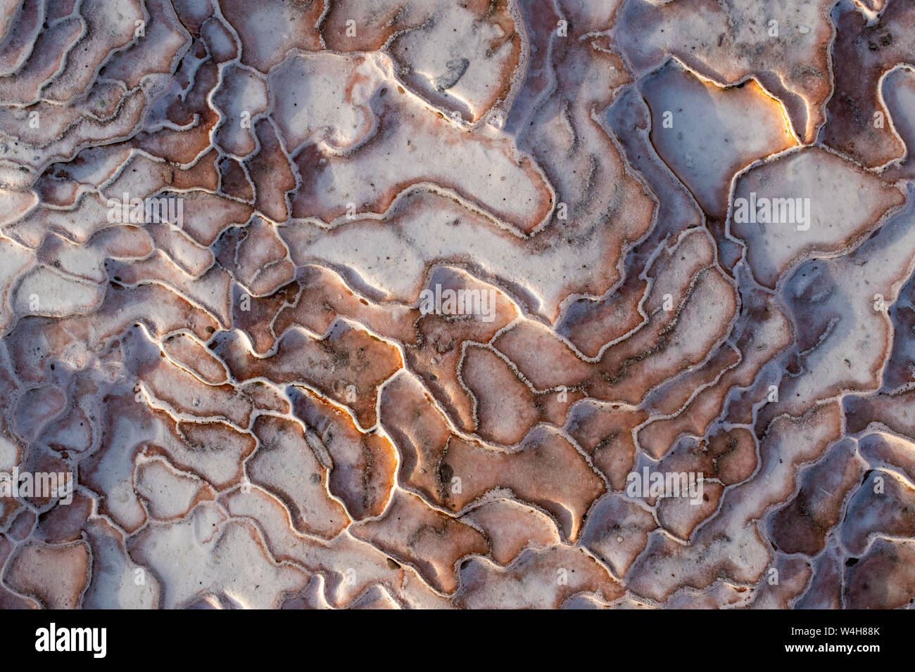 Turkey: details of the travertine terraces at Pamukkale (Cotton Castle ...