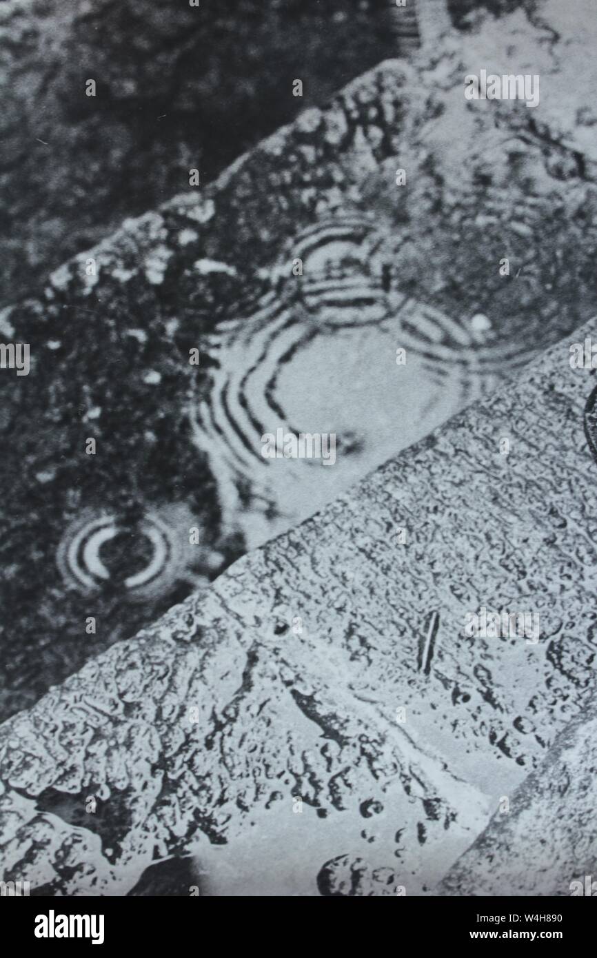 Fine black and white art photography of a puddle with circular wavelet ...