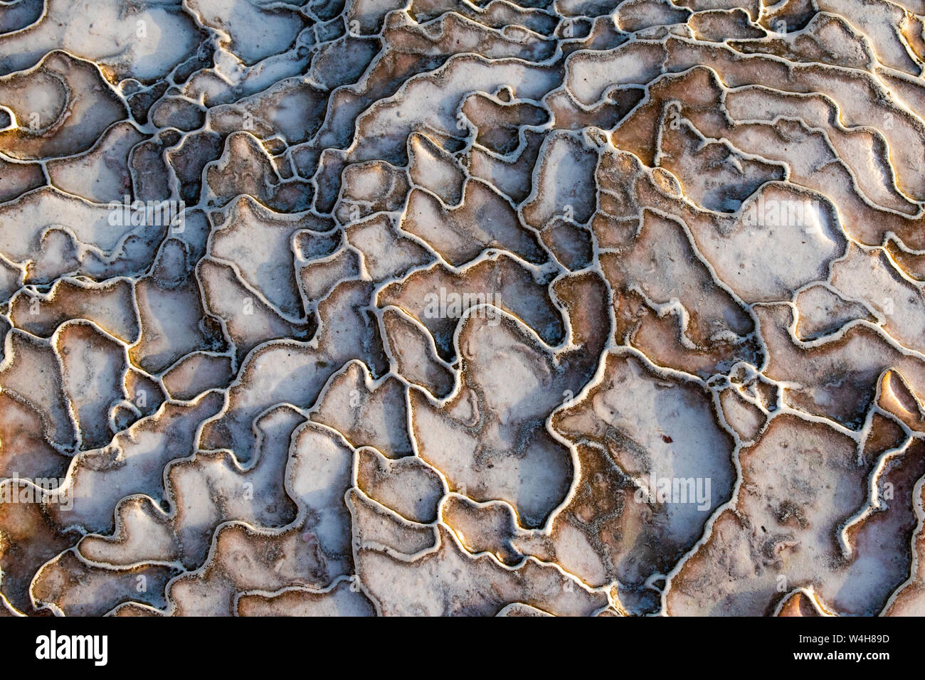 Turkey: details of the travertine terraces at Pamukkale (Cotton Castle ...