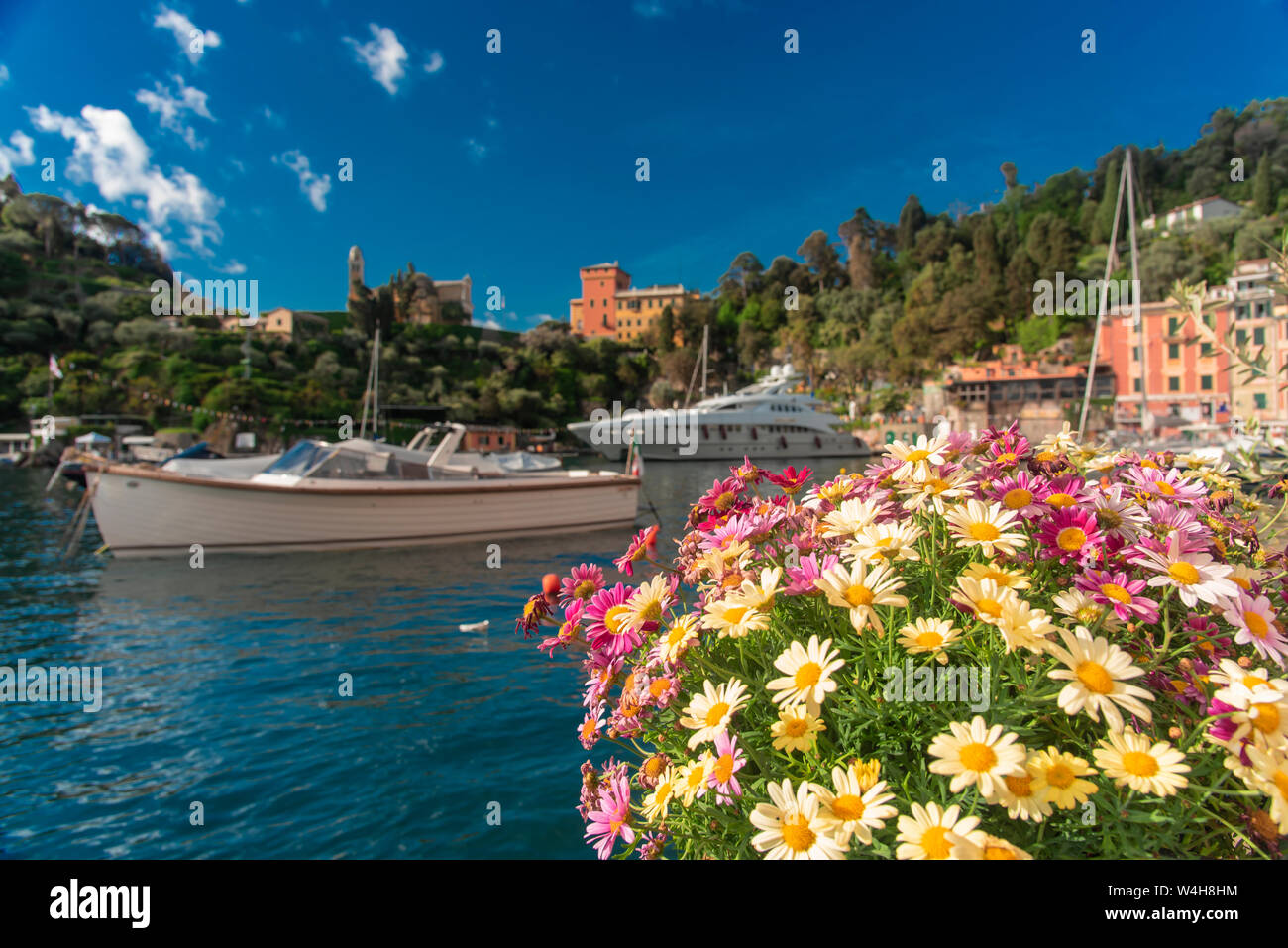 Colorful summer flowers alongside the harbor, Portofino, Italian ...