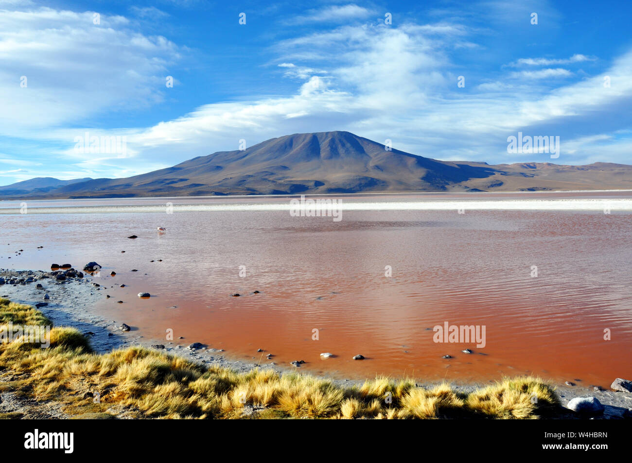 bolivian lagunas in the andes mountains region over 4000 meters above ...