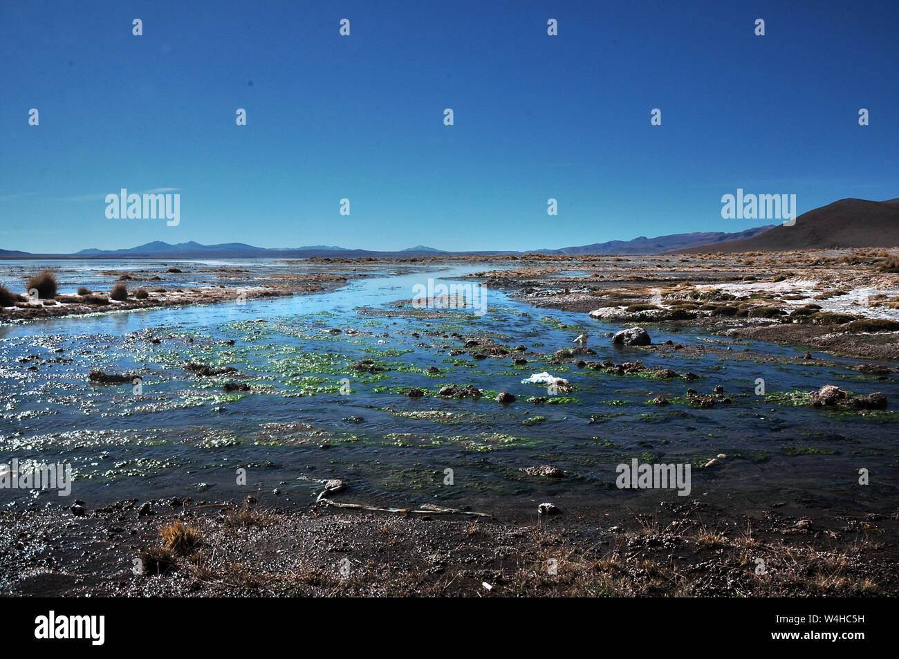 bolivian lagunas in the andes mountains region over 4000 meters above ...