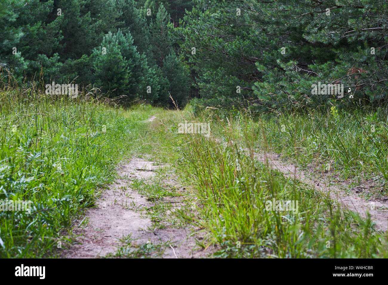 Old dirt road hi-res stock photography and images - Alamy