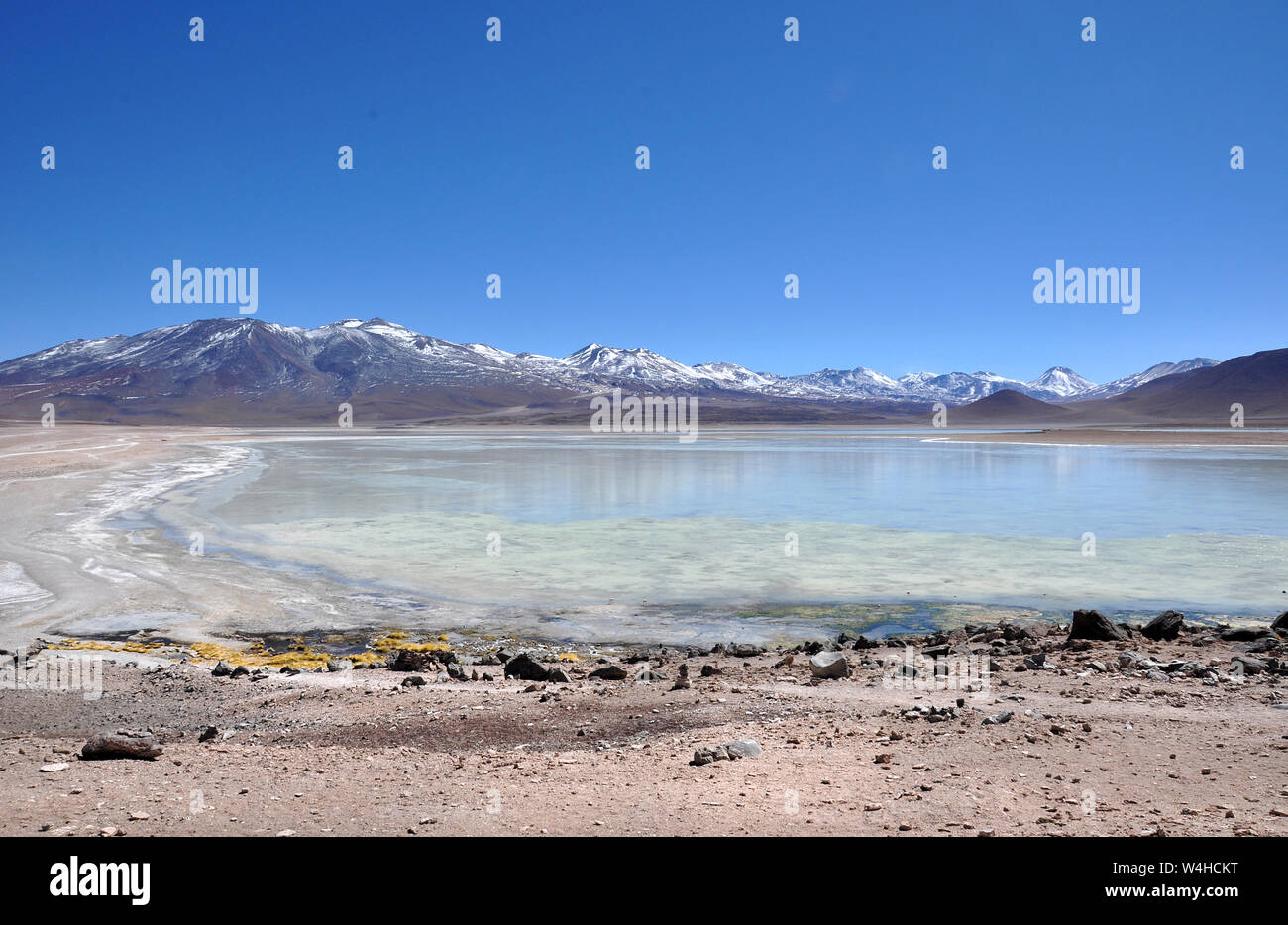bolivian lagunas in the andes mountains region over 4000 meters above ...