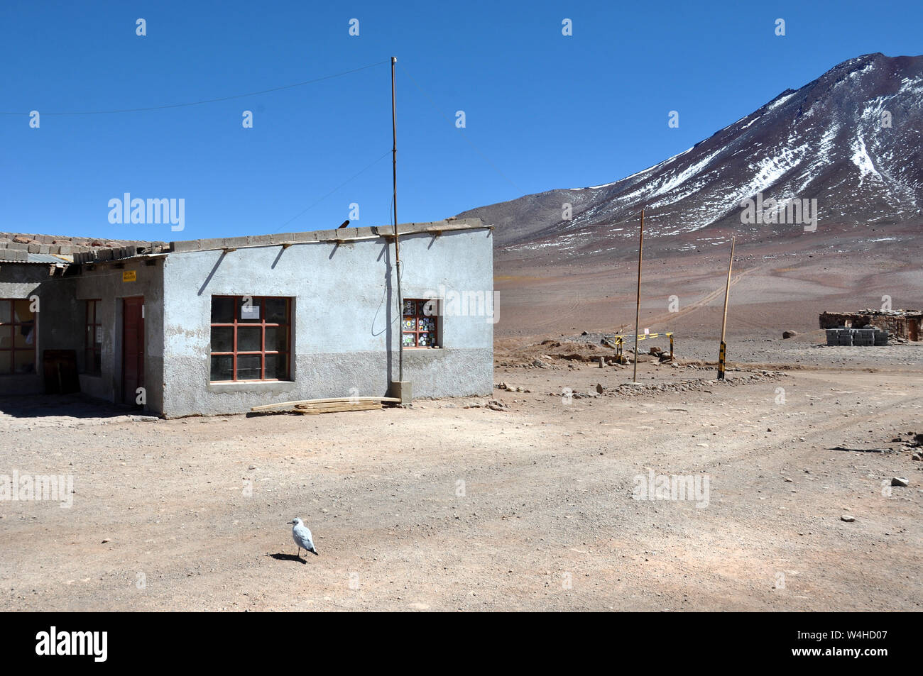bolivian lagunas in the andes mountains region over 4000 meters above ...