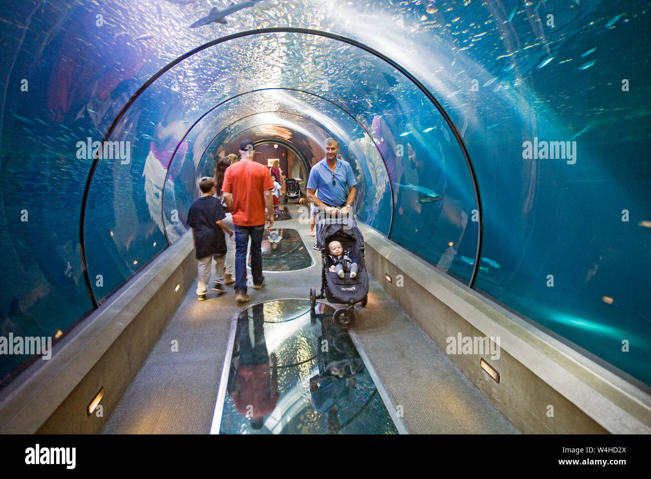 Visitors walk through a glass tunnel surrounded by fish in the Oregon ...