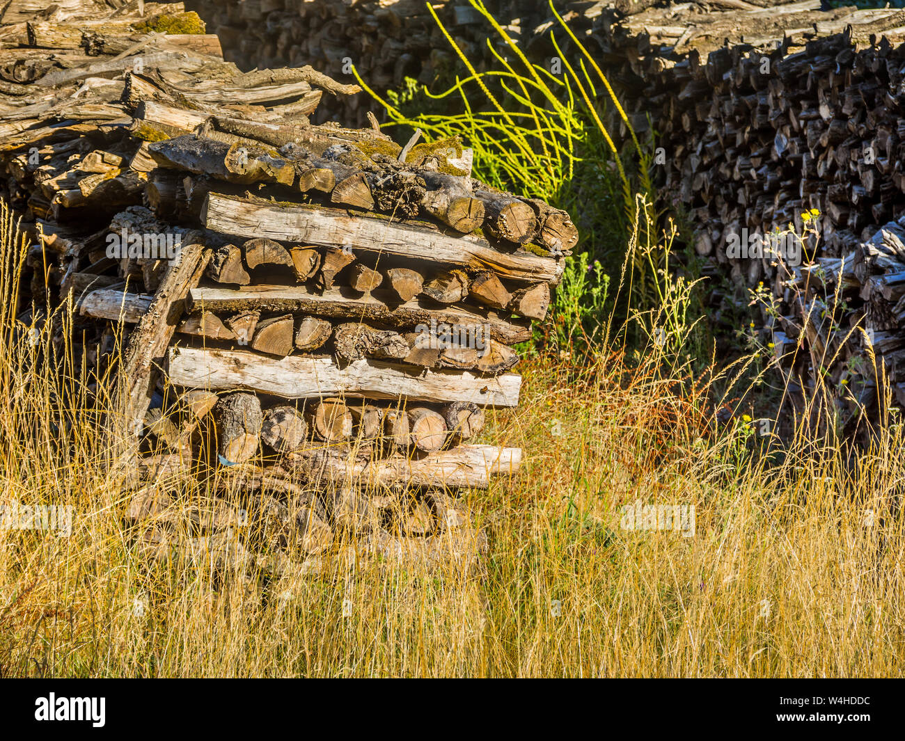 Wood stack for domestic fires - France Stock Photo - Alamy