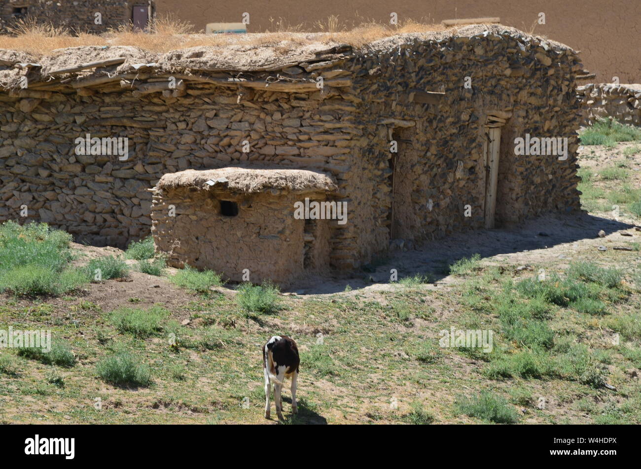 Upper Uhum village in the Nuratau mountains, Central Uzbekistan Stock ...