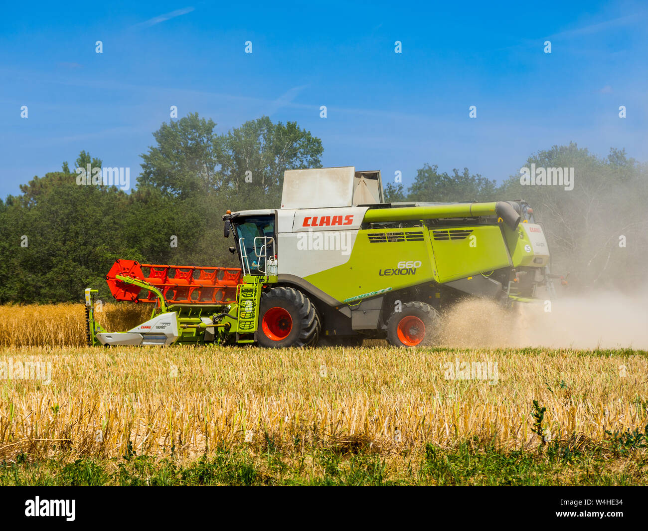 Claas Lexikon 660 combine harvesting oil seed rape crop - Touraine ...