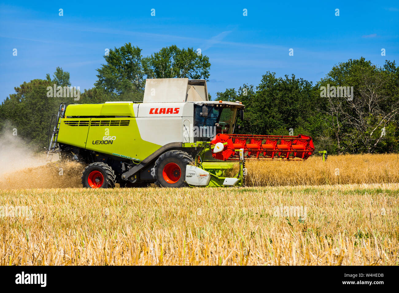 Claas Lexikon 660 combine harvesting oil seed rape crop - Touraine ...