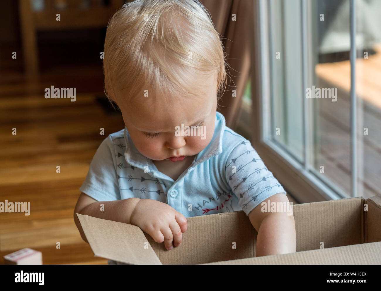 Young baby boy investigating a cardboard box and looking inside Stock ...