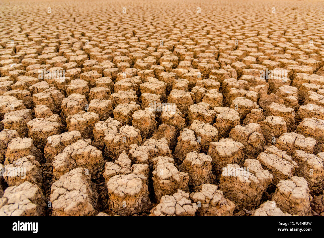 The concept of natural drought of the environment on Earth: dry soil ...