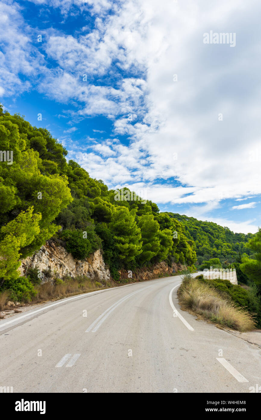 Greece, Zakynthos, Intense green pine trees next to curved road on the ...
