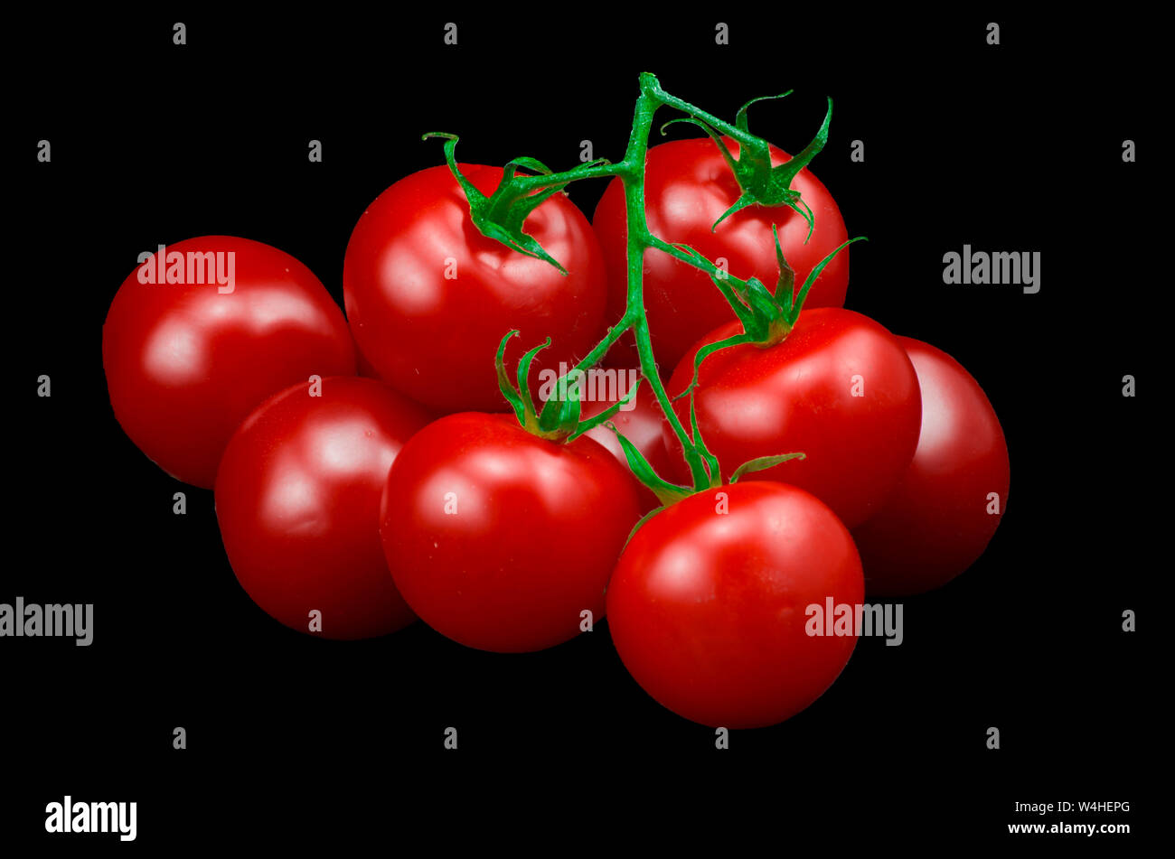 Tomato Shrub High Resolution Stock Photography and Images - Alamy