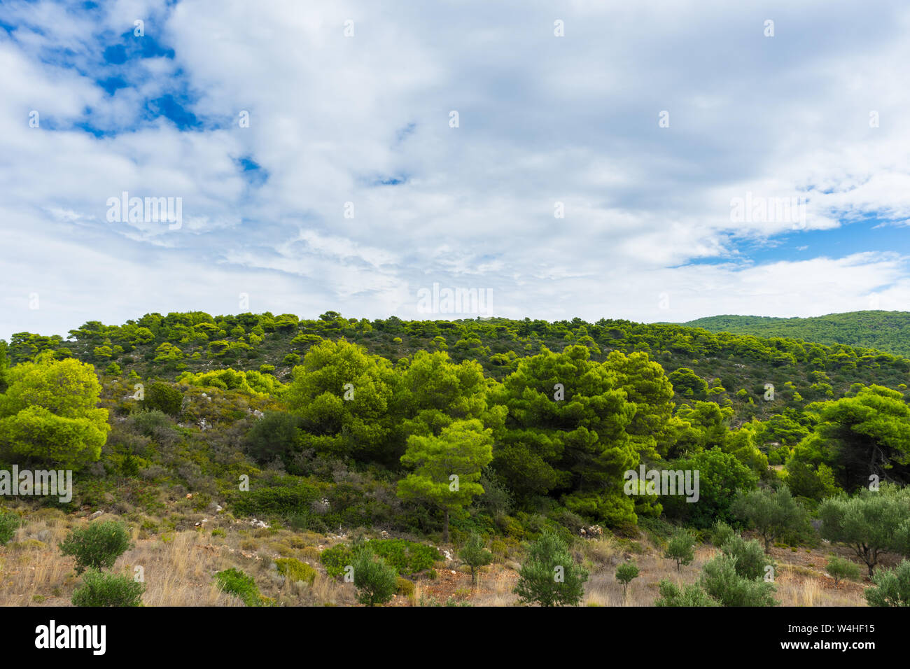 Forest mountains zakynthos island hi-res stock photography and images ...
