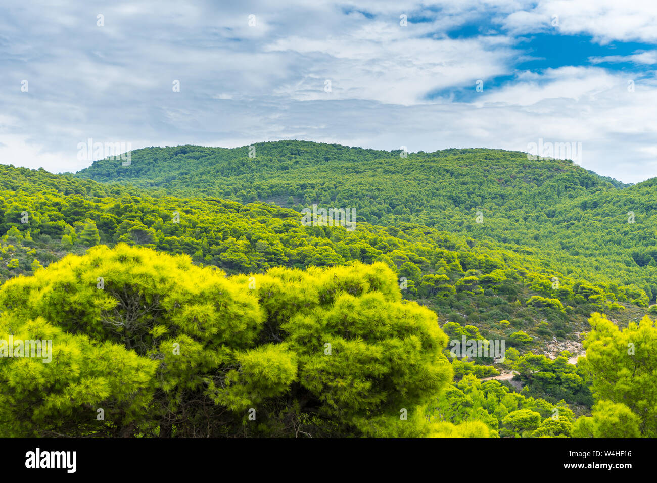 Forest mountains zakynthos island hi-res stock photography and images ...