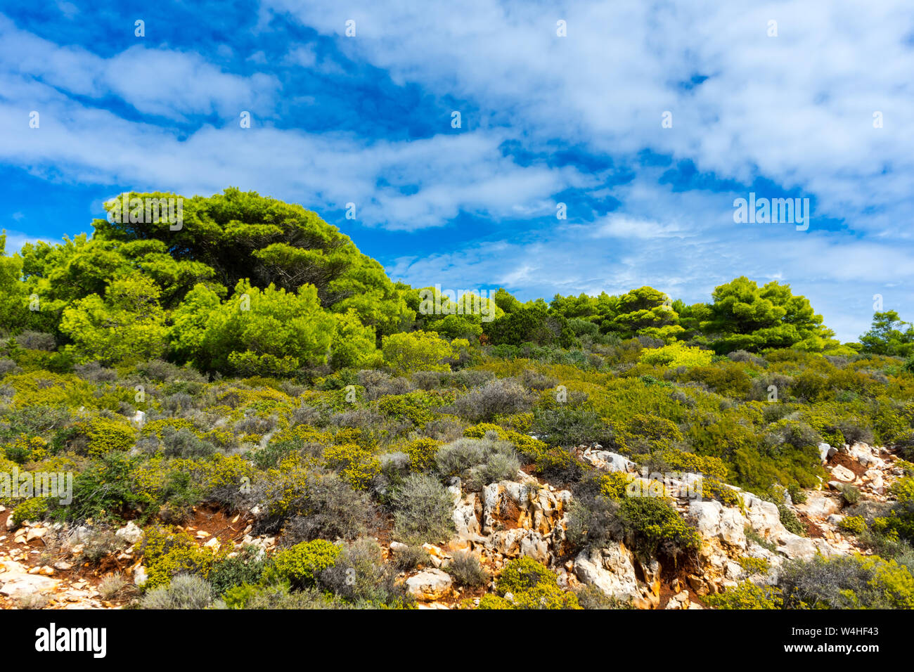 Greece, Zakynthos, Walking through typical greek untouched nature ...