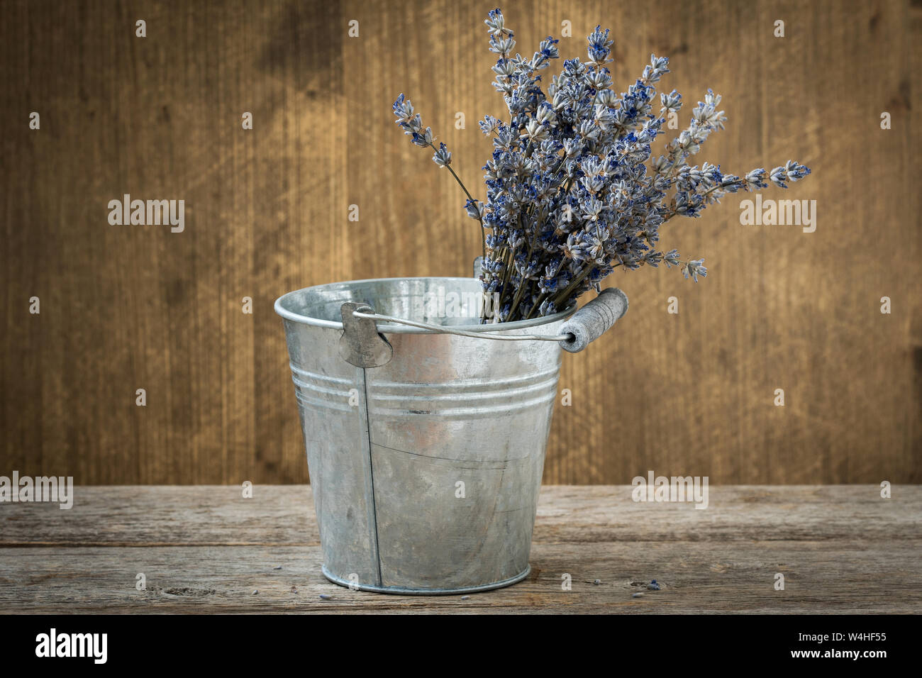 Lavender plant bucket hi-res stock photography and images - Alamy