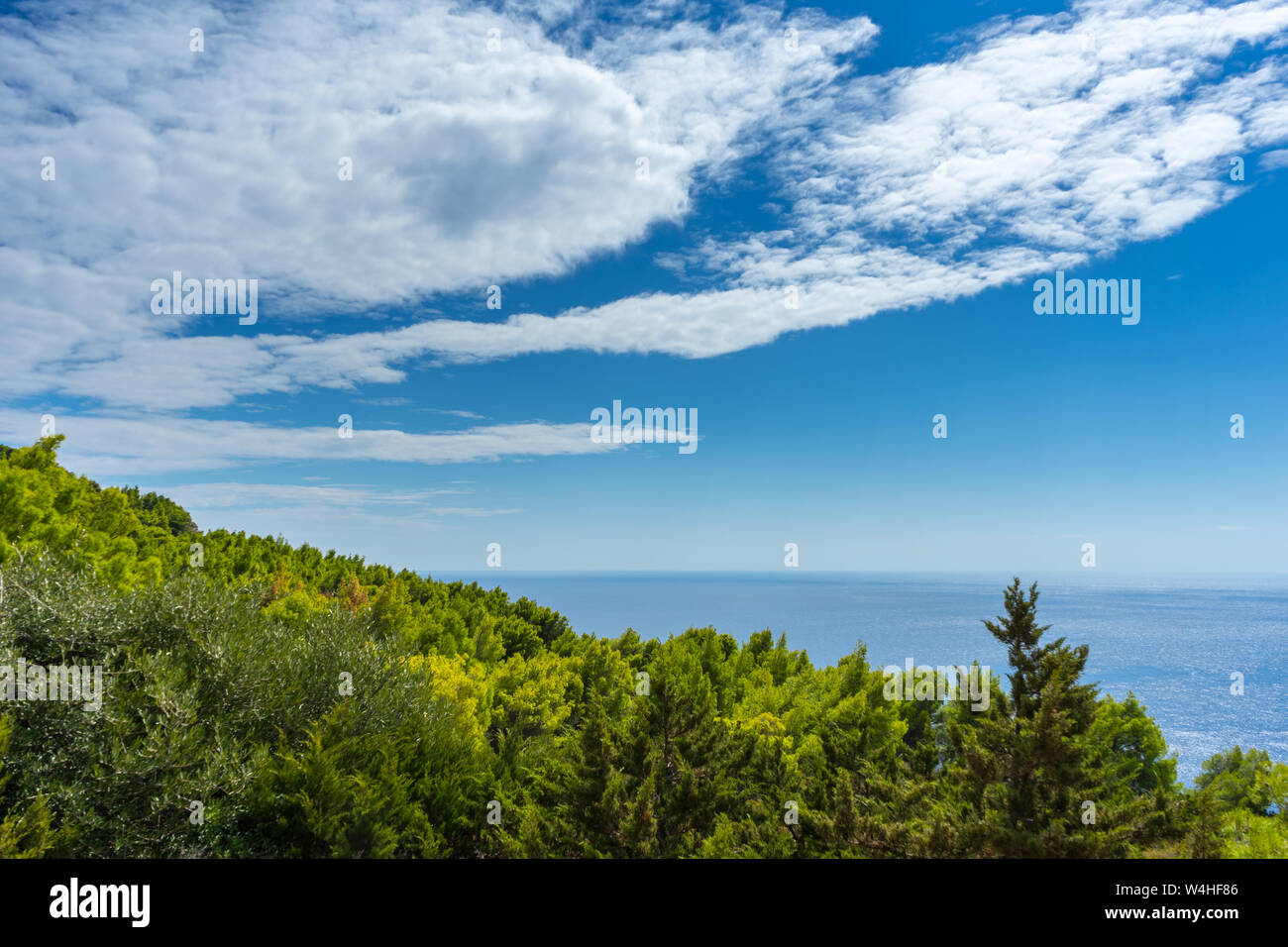 Greece, Zakynthos, Above green tree tops of pine trees the endless blue ...