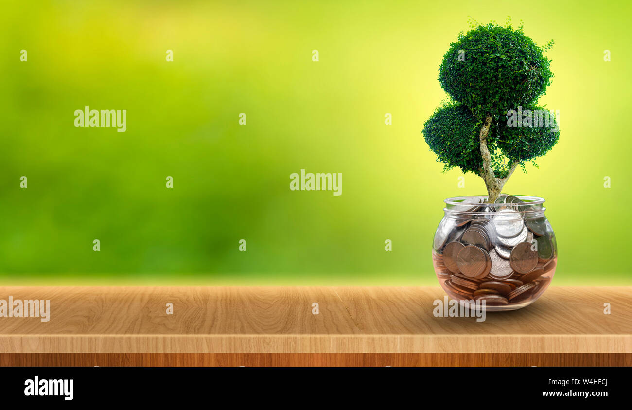 Family money tree hi-res stock photography and images - Alamy