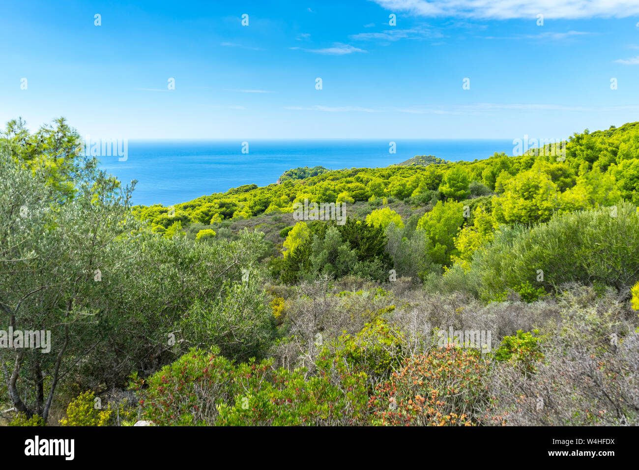 Greece, Zakynthos, Green paradise of untouched nature landscape and ...