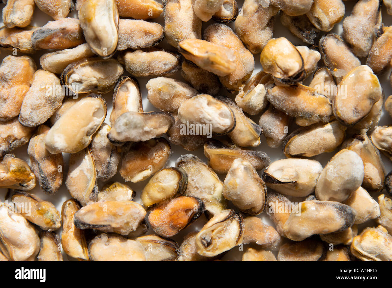 White phosphorus shell hi-res stock photography and images - Alamy