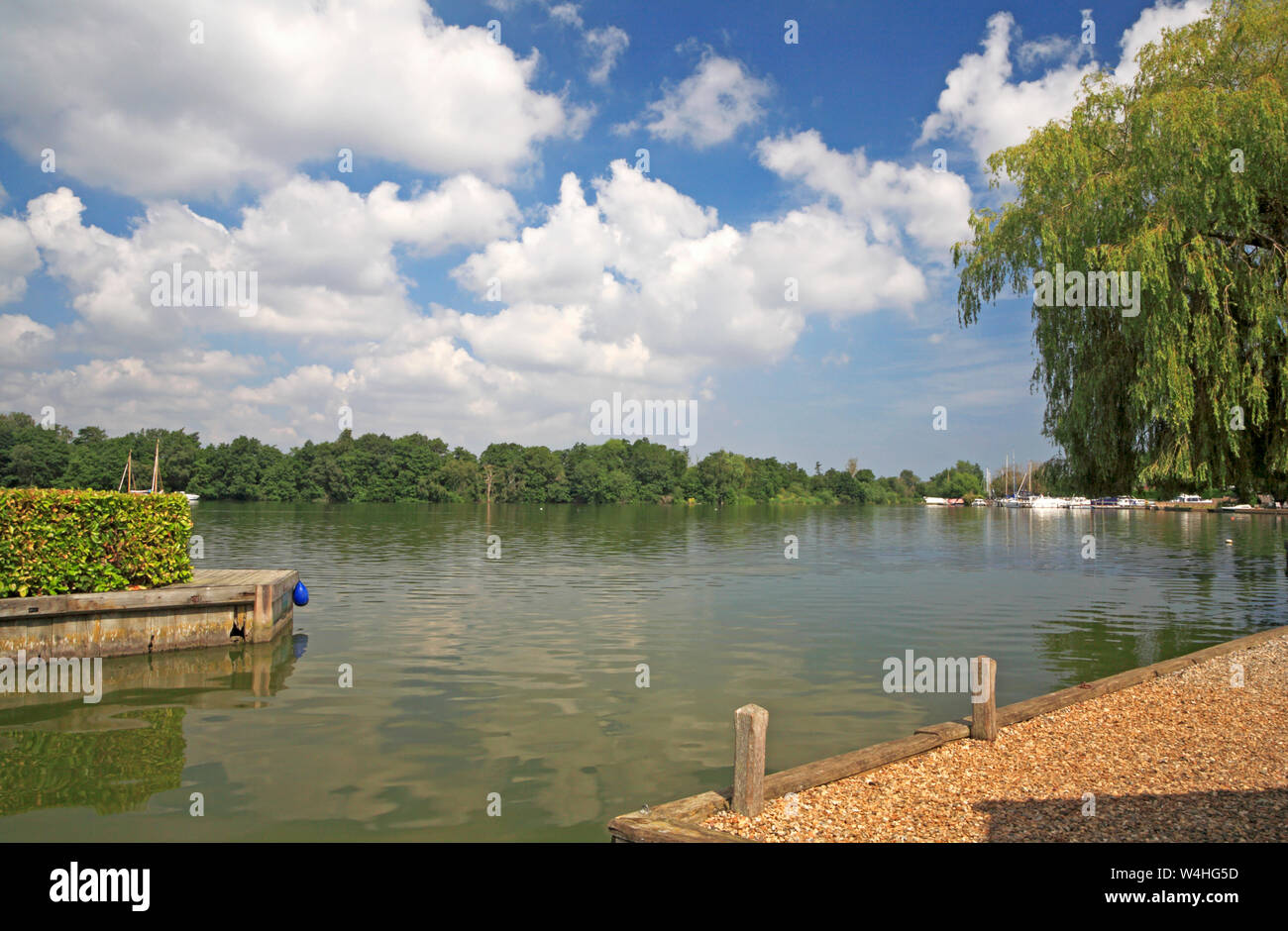 A view of South Walsham Broads on the Norfolk Broads at South Walsham ...