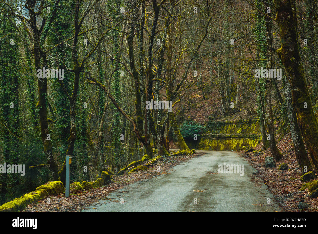 Off-road travel. Traveler discovers new unfamiliar places. Path through ...