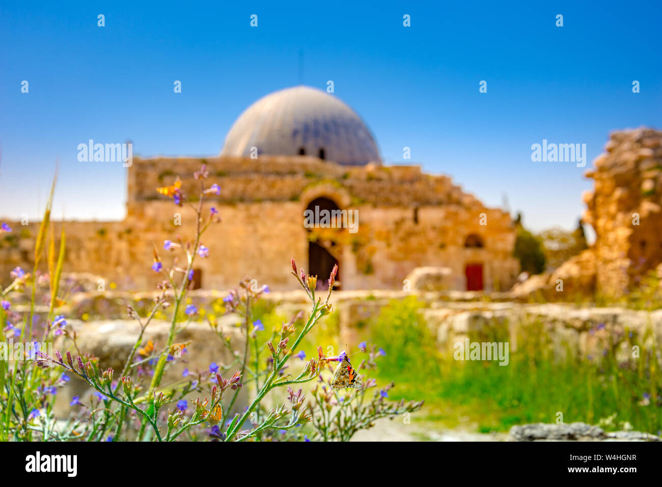 Umayyad Palace at the Amman Citadel, Jordan Stock Photo - Alamy