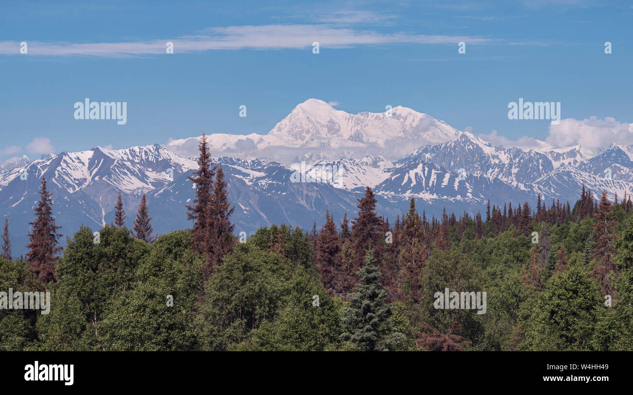 stunning view of denali mountain aka mount mckinley on a rare clear ...