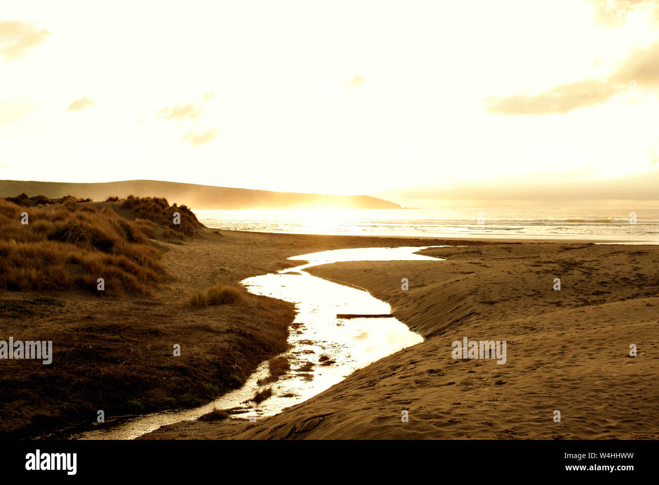 Sepia toned beach landscape Stock Photo - Alamy