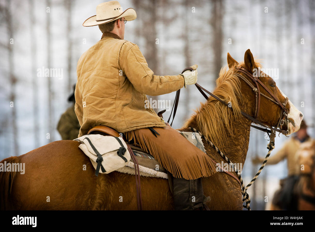 Cowboy on horseback Stock Photo - Alamy
