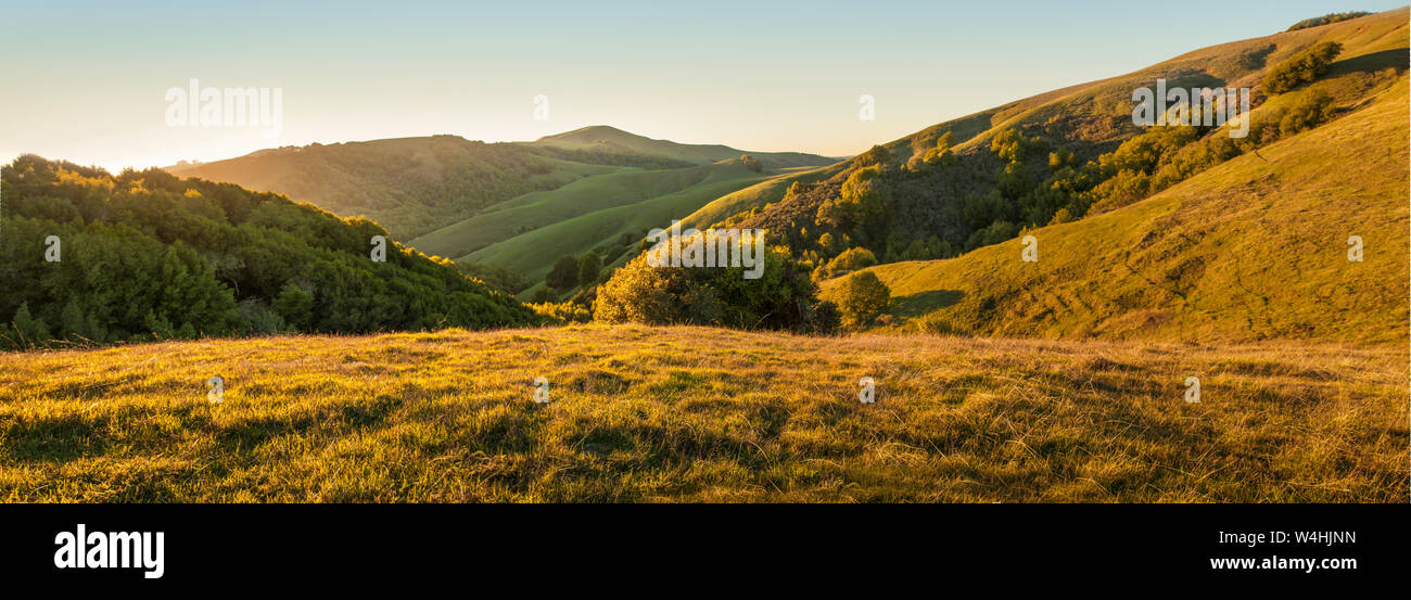 Rolling hills in the countryside Stock Photo - Alamy