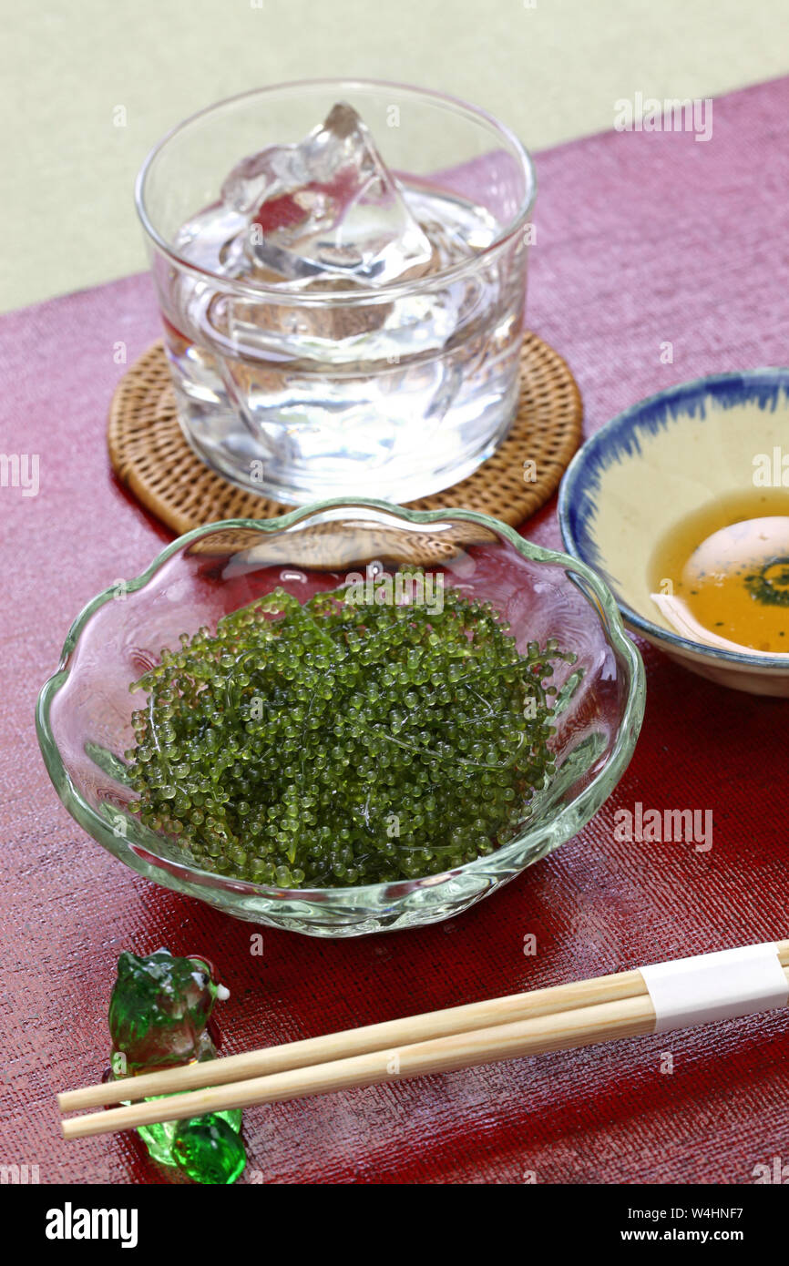 umi budo, green caviar, sea grapes, seaweed, edible algae Stock Photo ...