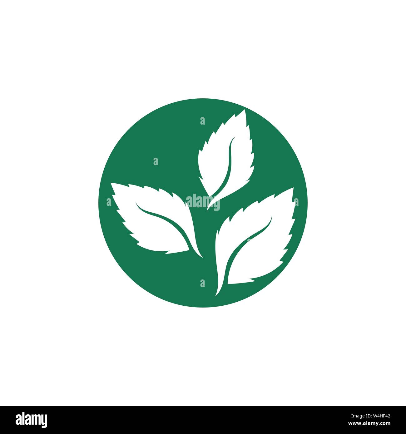 Mint leaves flat vector color icon template Stock Vector Image & Art ...