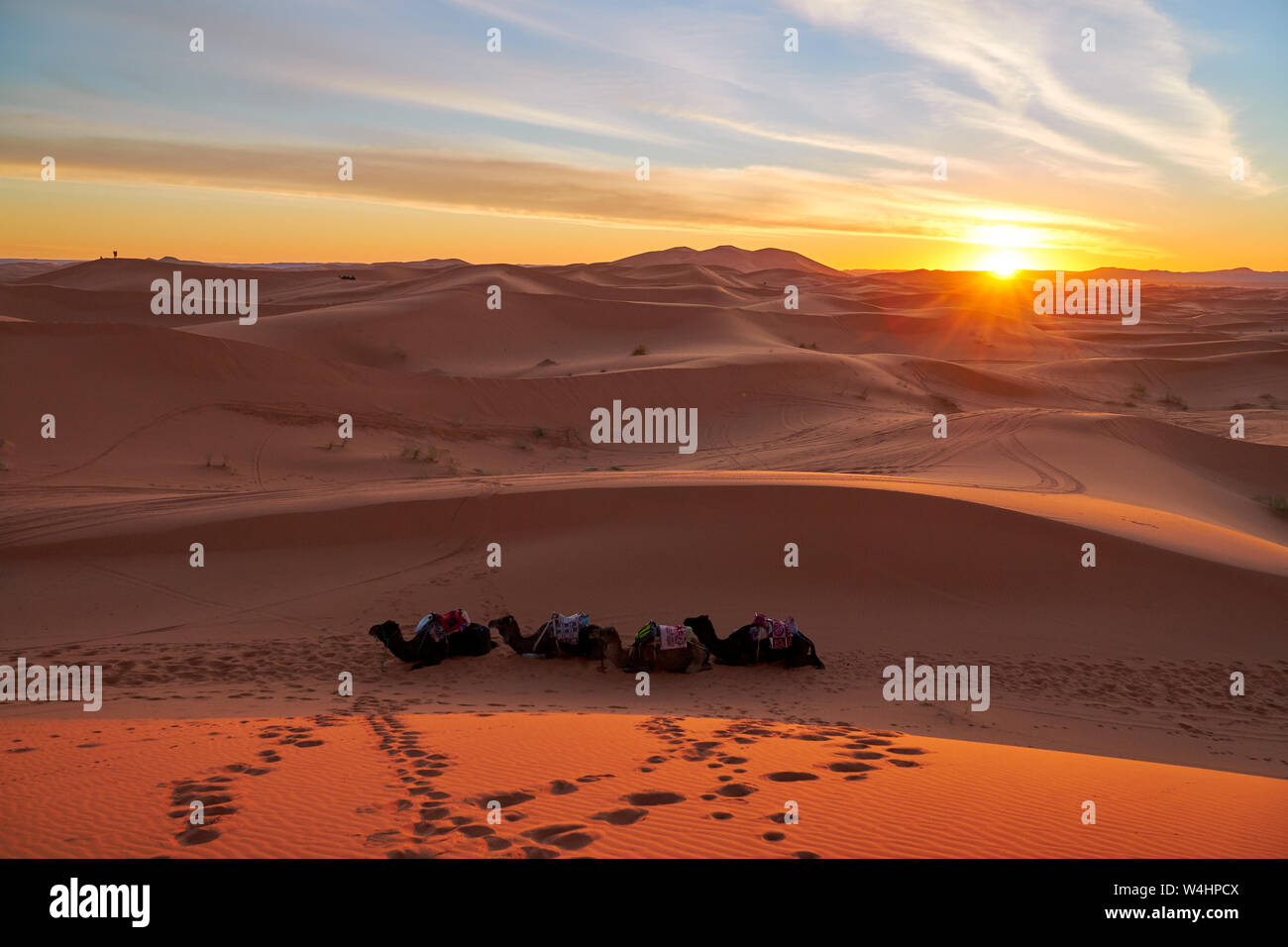 Perfect sunset over the sand dunes in the Sahara desert Morocco with ...