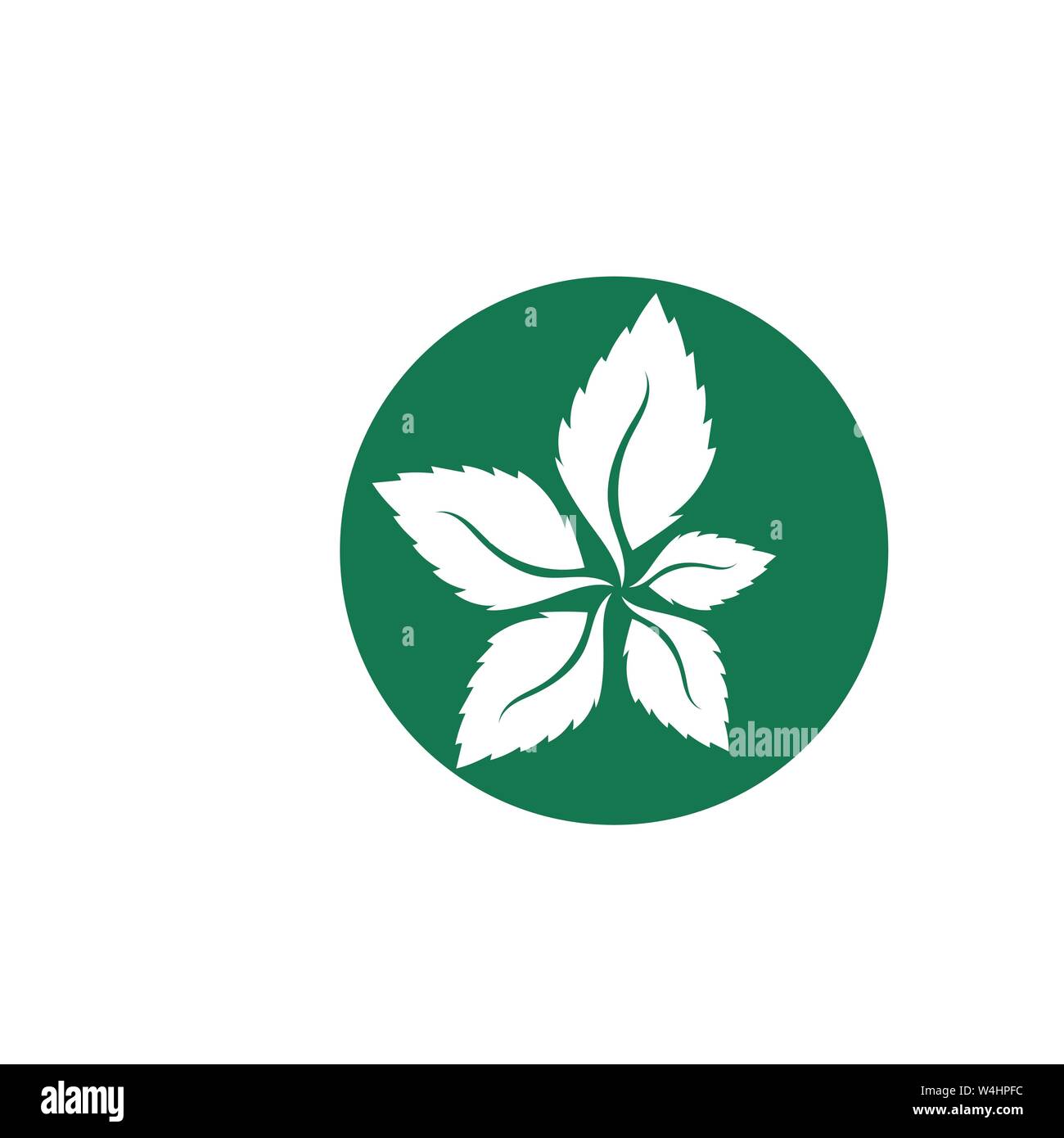Mint leaves flat vector color icon template Stock Vector Image & Art ...