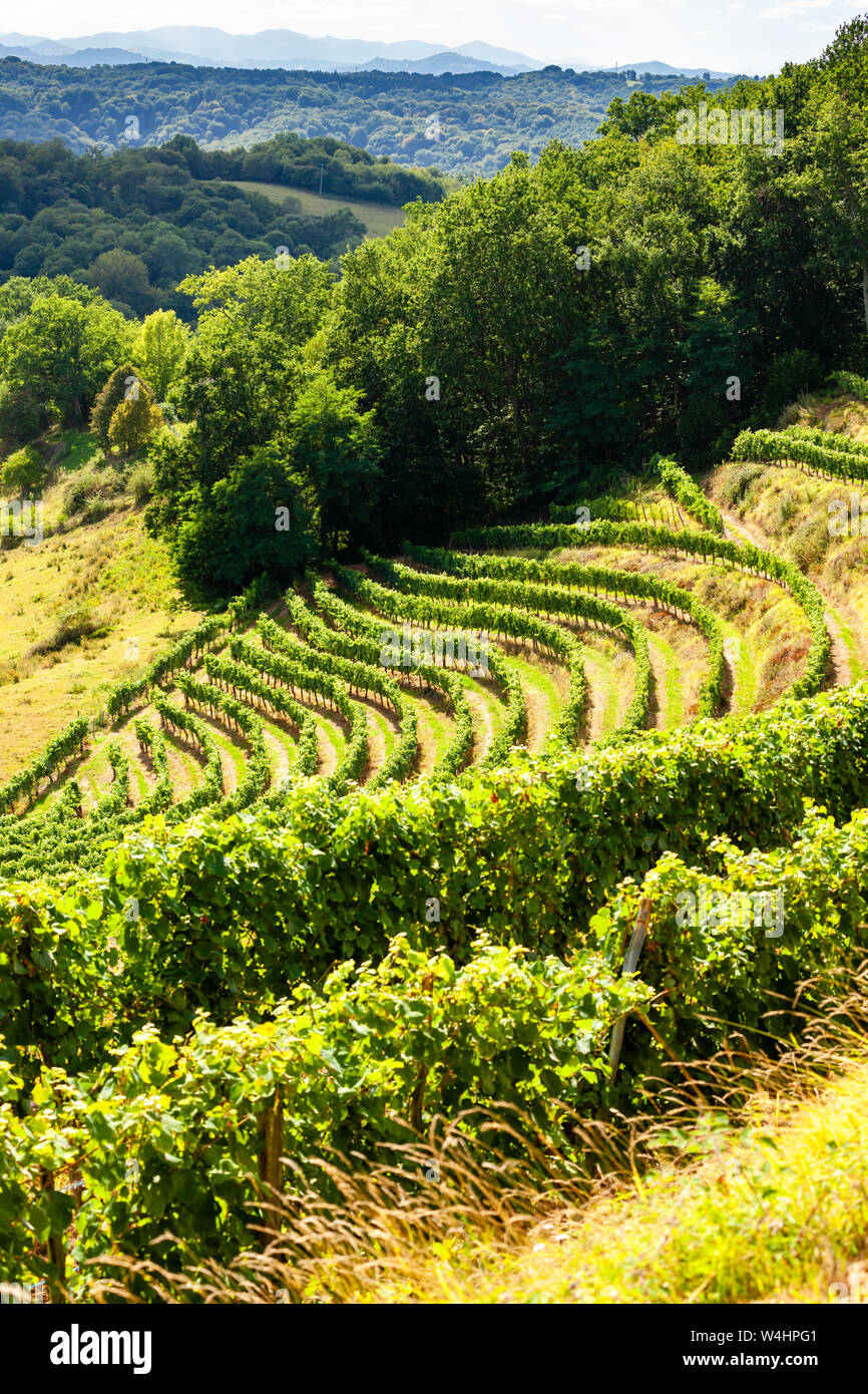Jurancon vineyards hi-res stock photography and images - Alamy