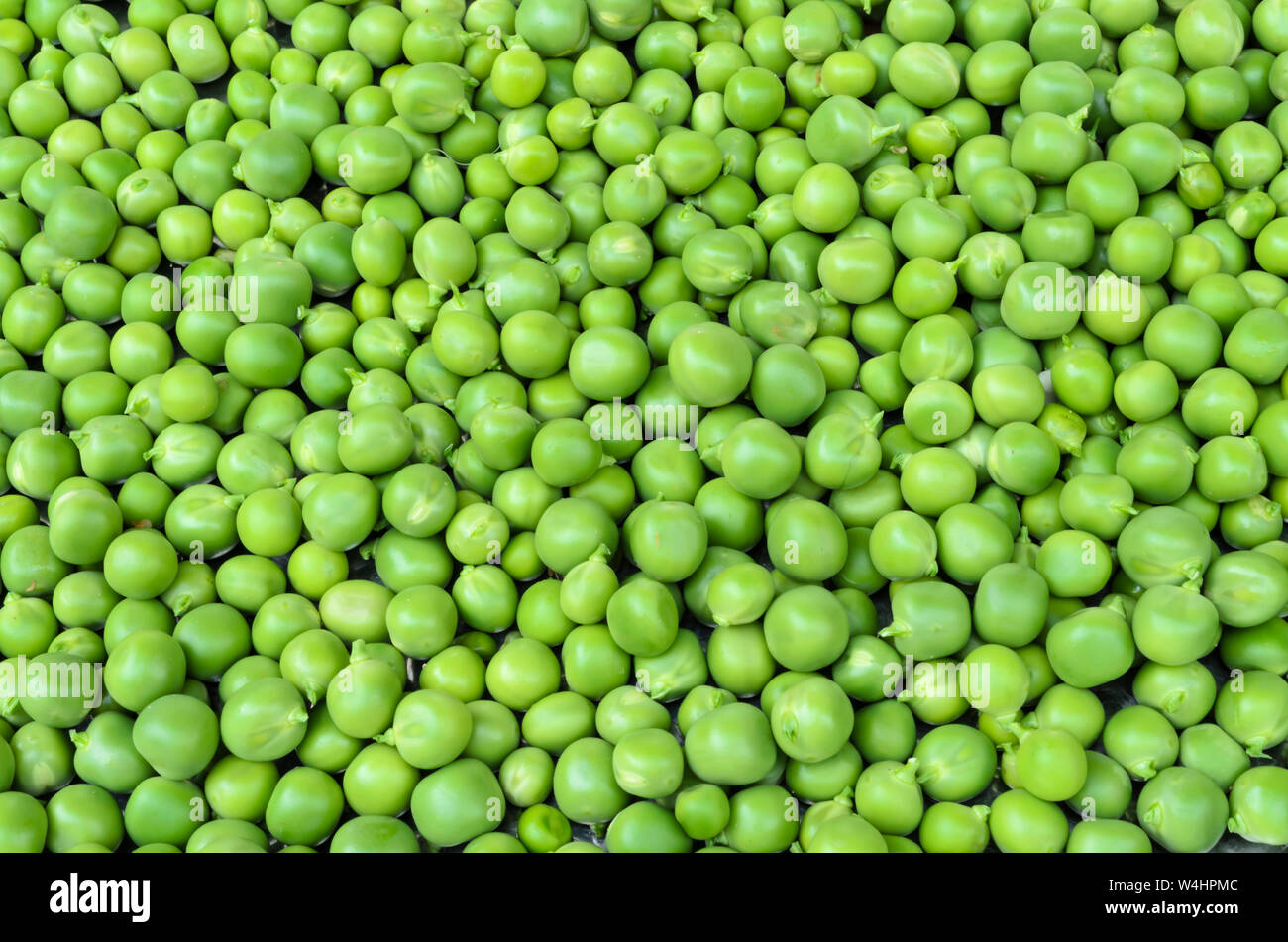 Fresh organic peas hi-res stock photography and images - Alamy