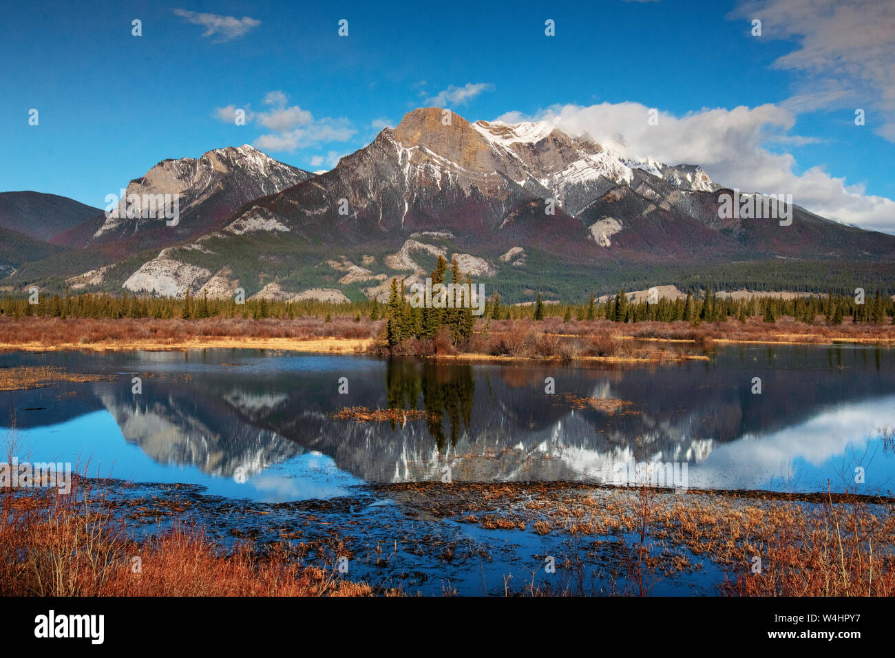 Park spring hi-res stock photography and images - Alamy