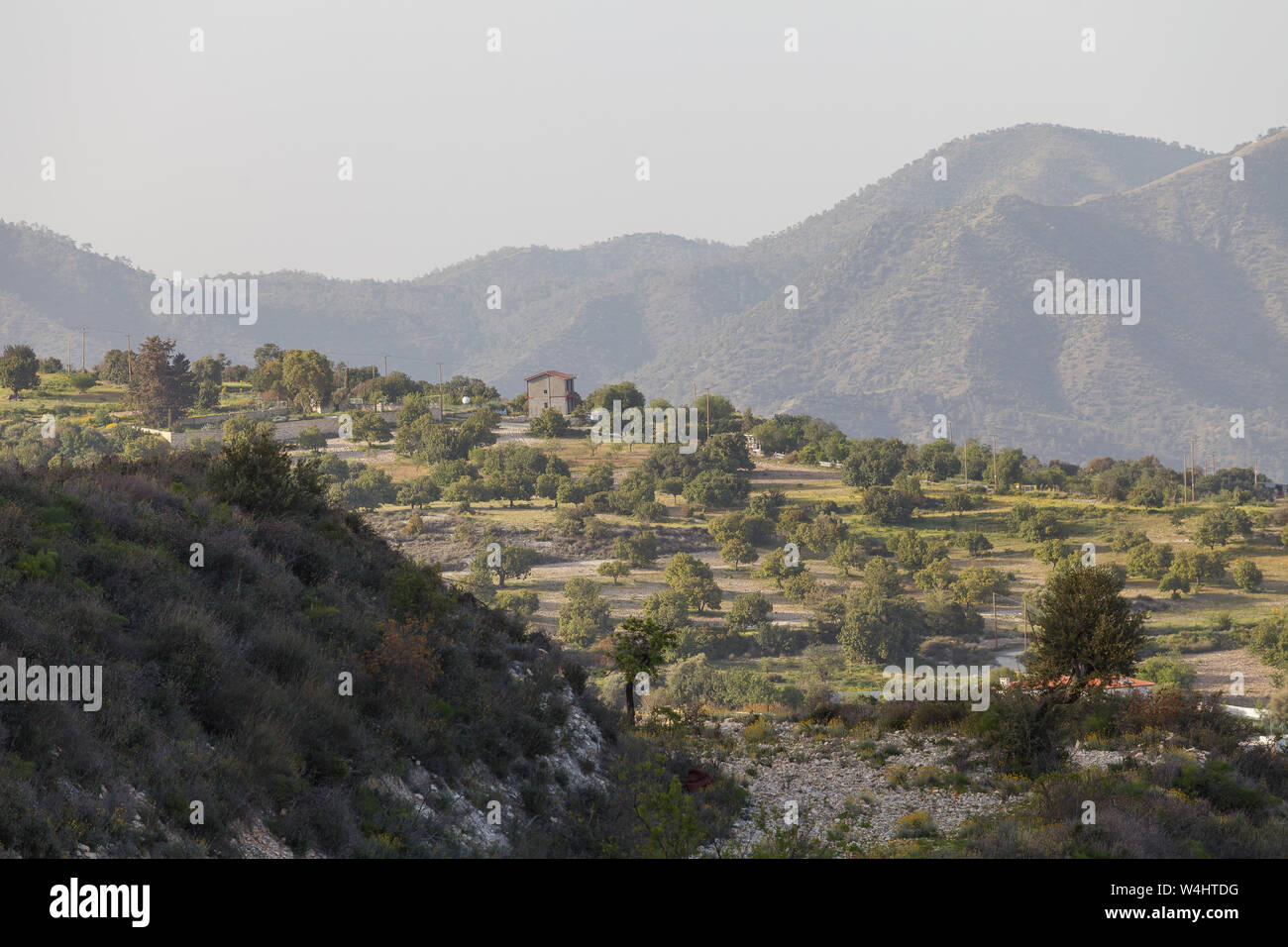 Traditional rural greek scenic mountaine view, olives and other trees ...