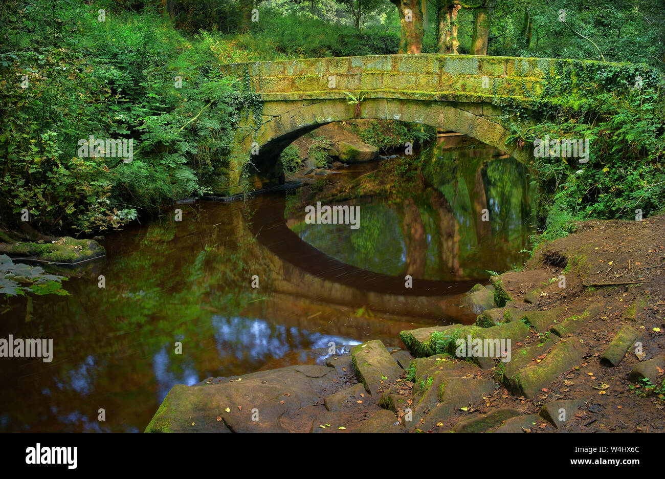 UK, South Yorkshire, Sheffield, Rivelin Valley, River Rivelin ...