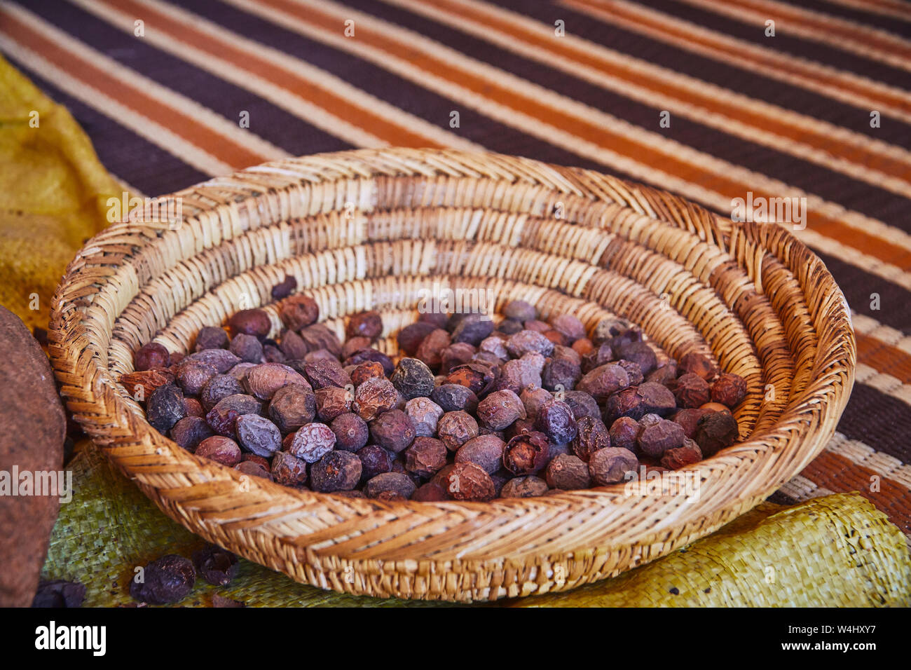 Raw argan nuts in a traditional moroccan bowl ready for preparing argan ...