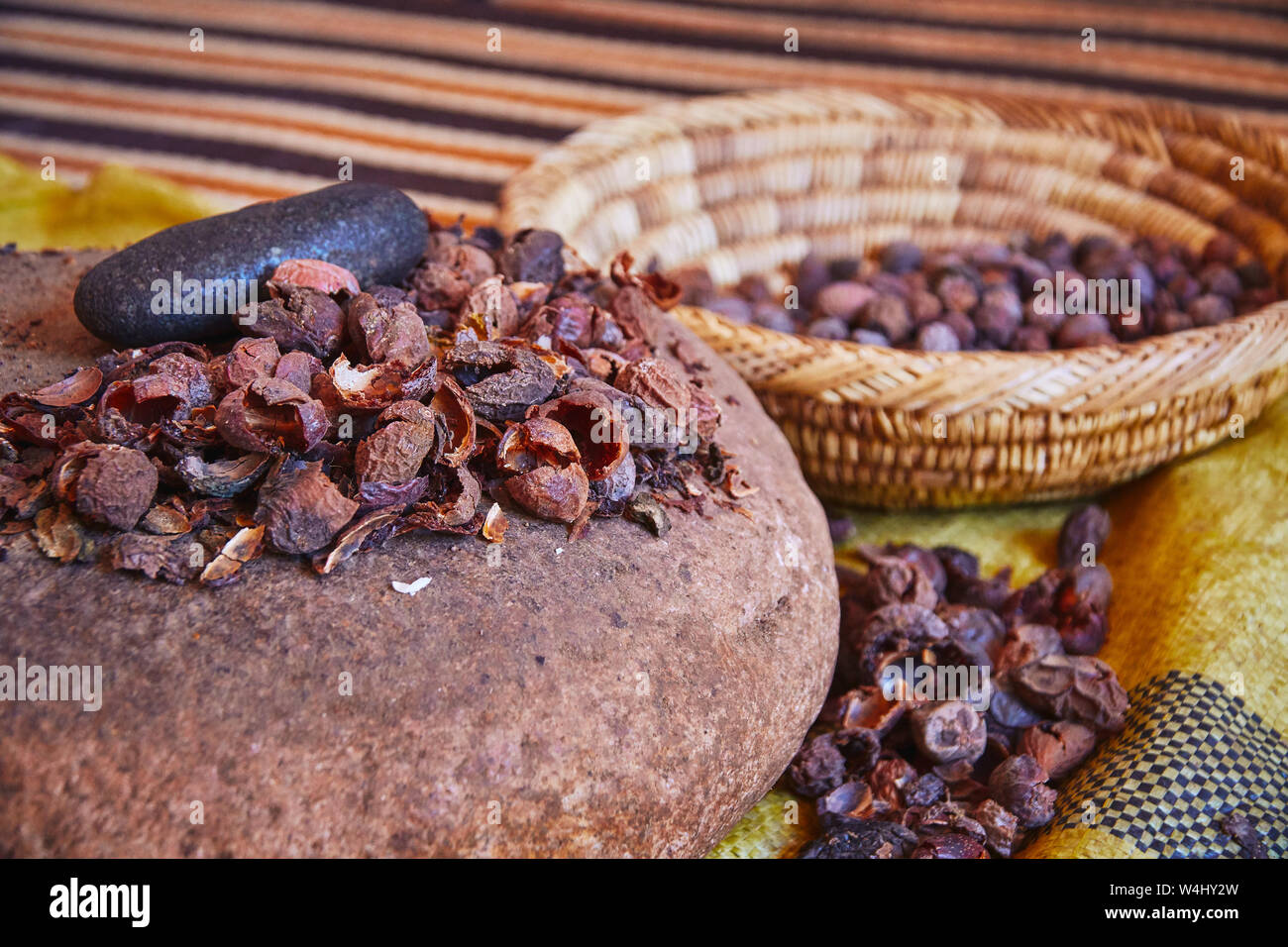 Cracked hard shells of raw argan seed nuts in Morocco Africa in the ...