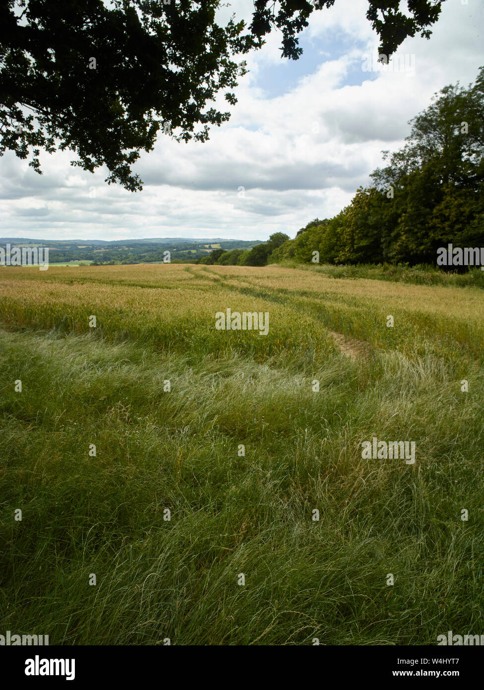 Benefits of walking in the countryside hi-res stock photography and ...