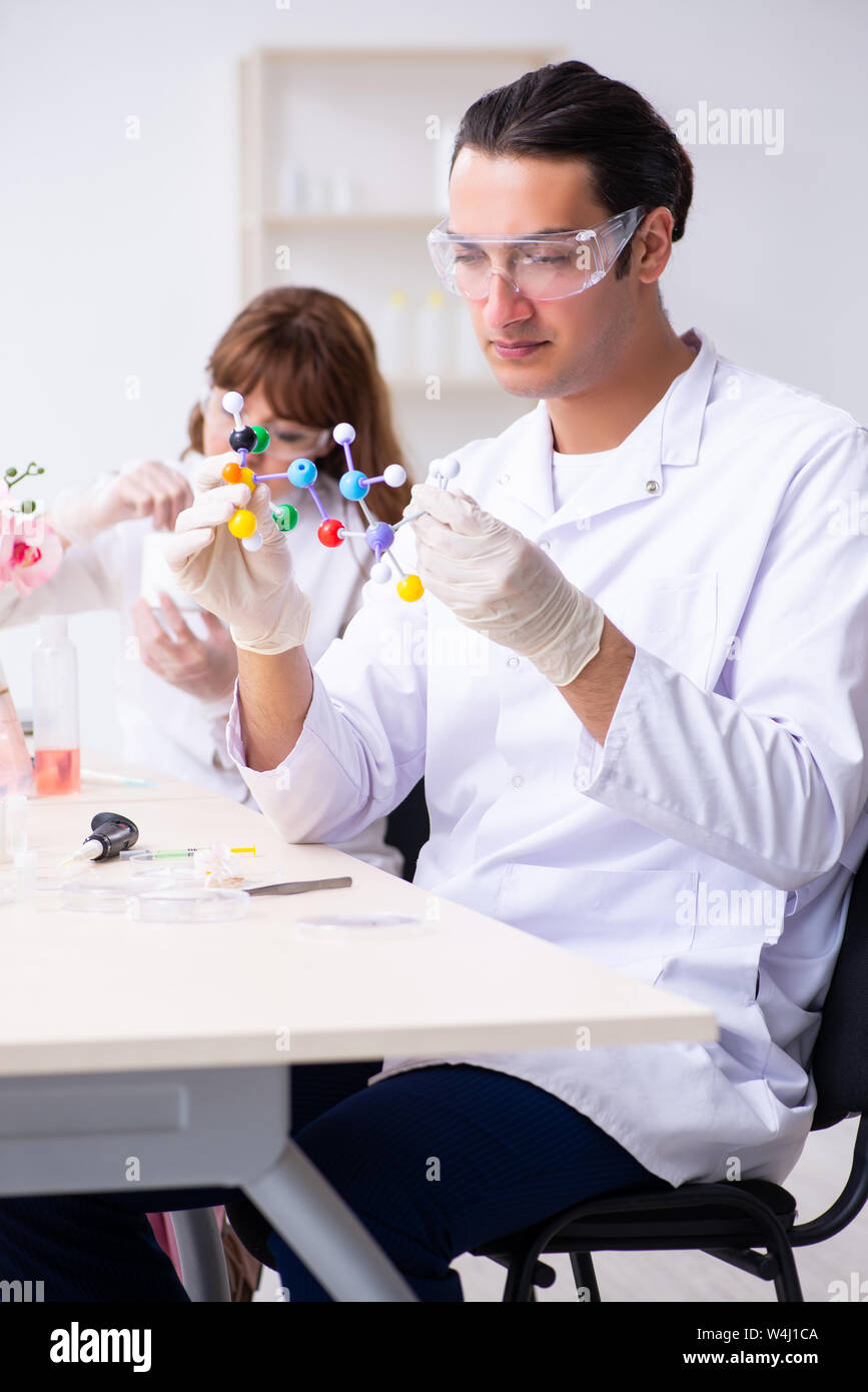 Two chemists working in the lab Stock Photo - Alamy