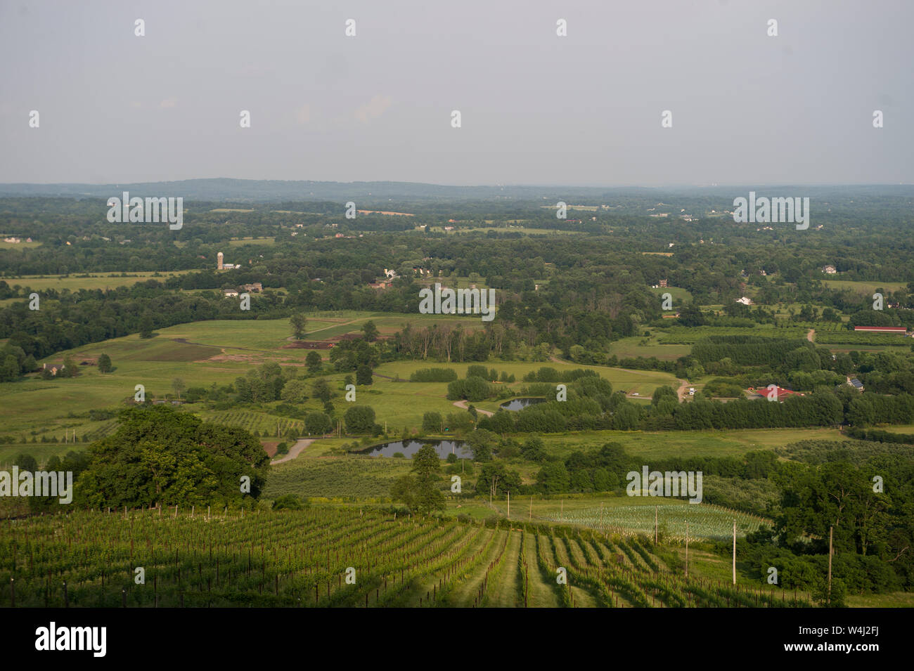 Character fills hi-res stock photography and images - Alamy